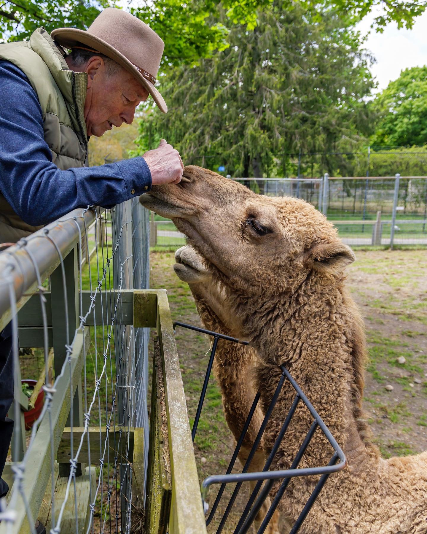 Long Island Game Farm