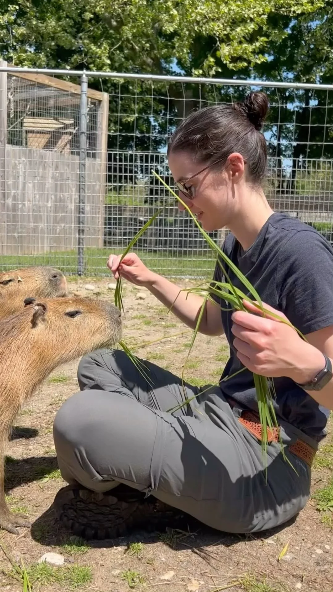 Long Island Game Farm