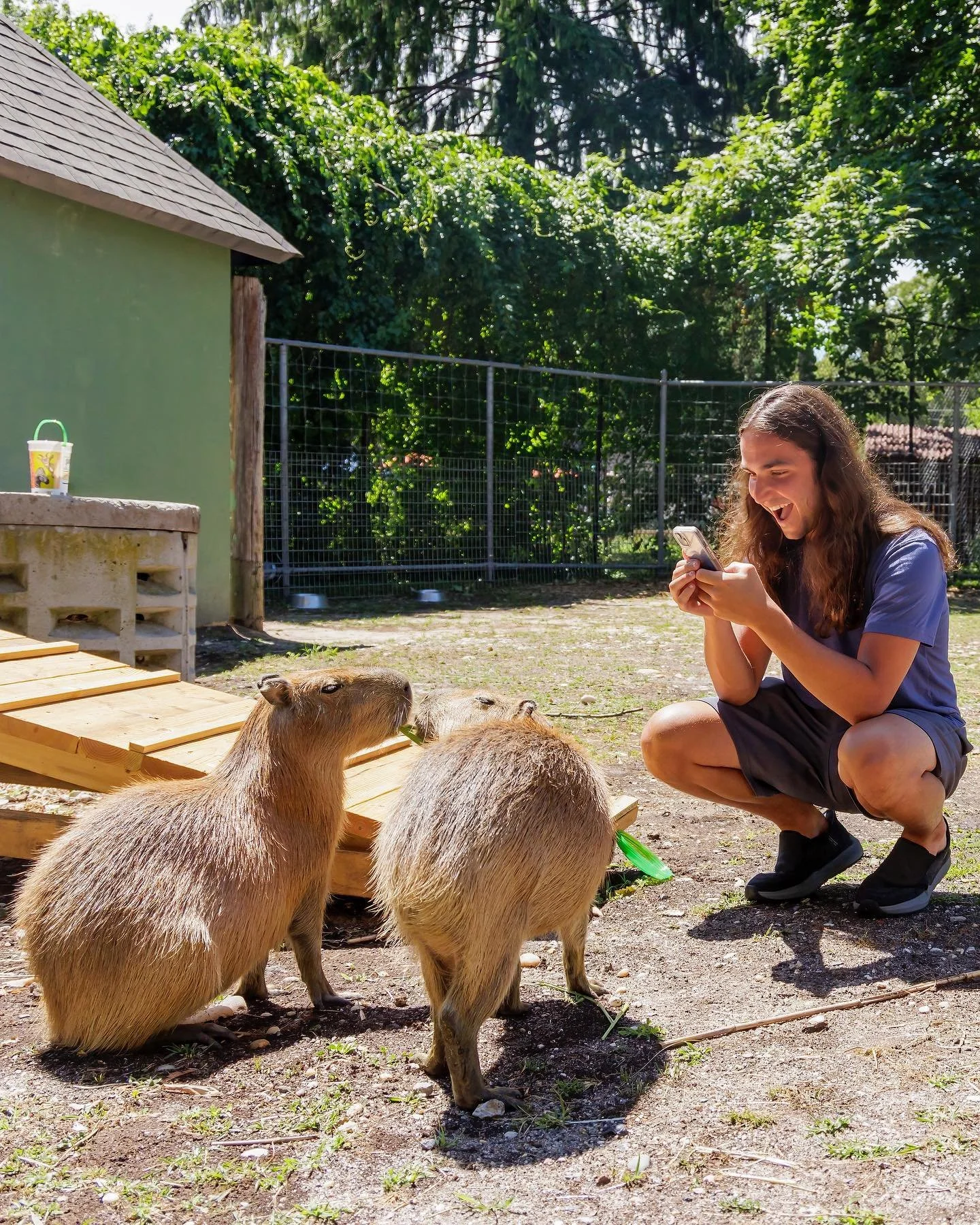 Long Island Game Farm