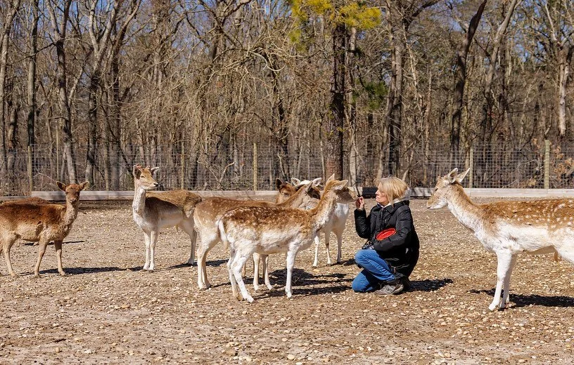 Long Island Game Farm