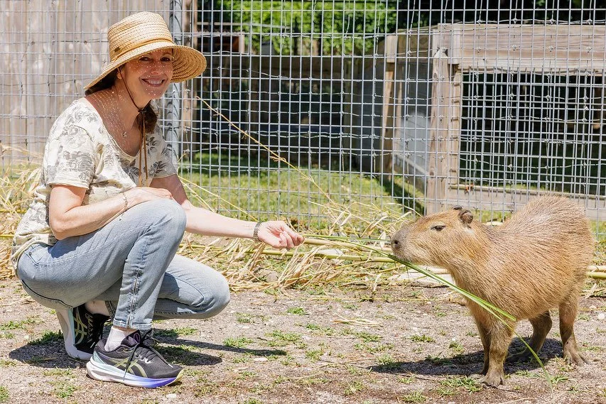 Long Island Game Farm