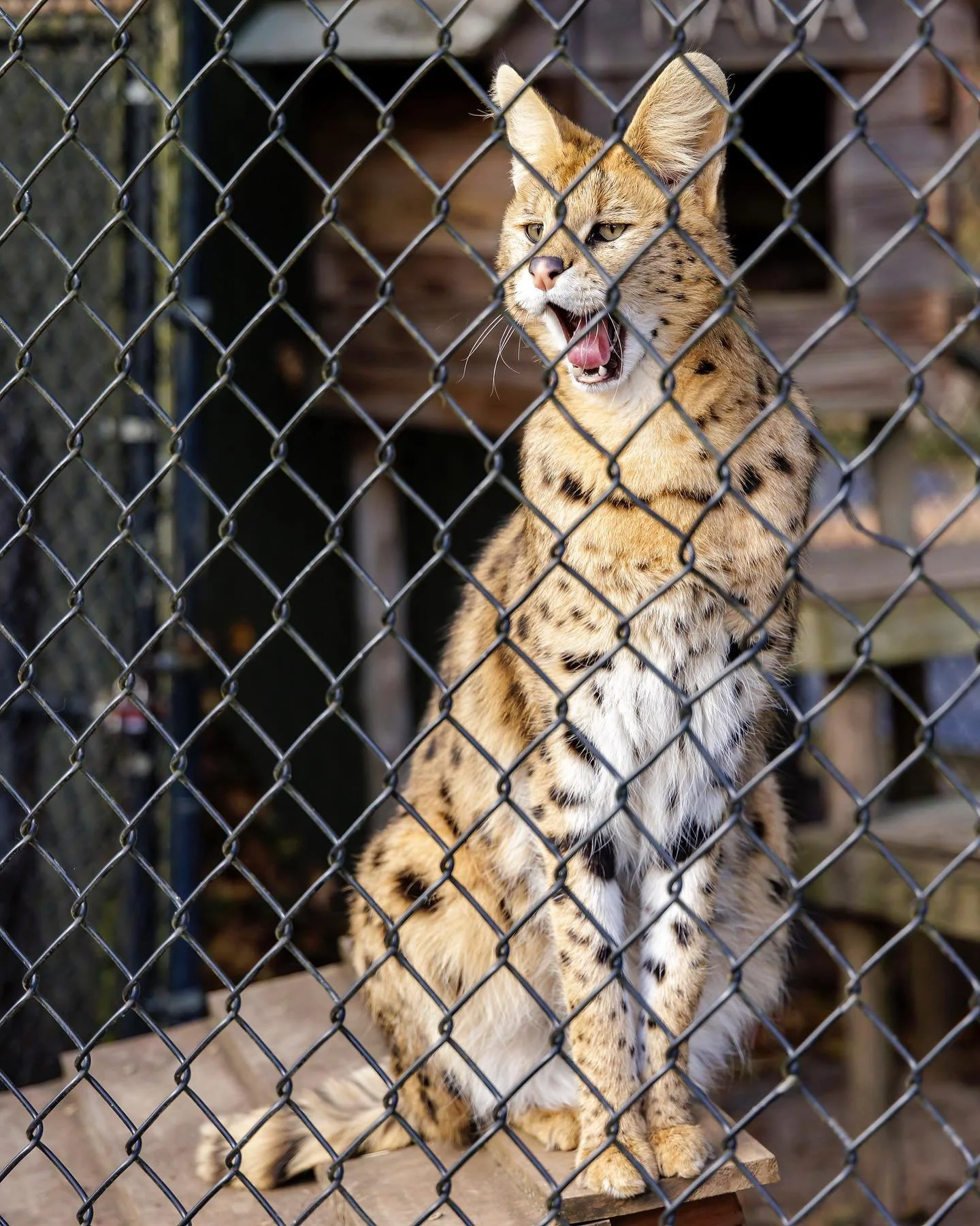 Long Island Game Farm