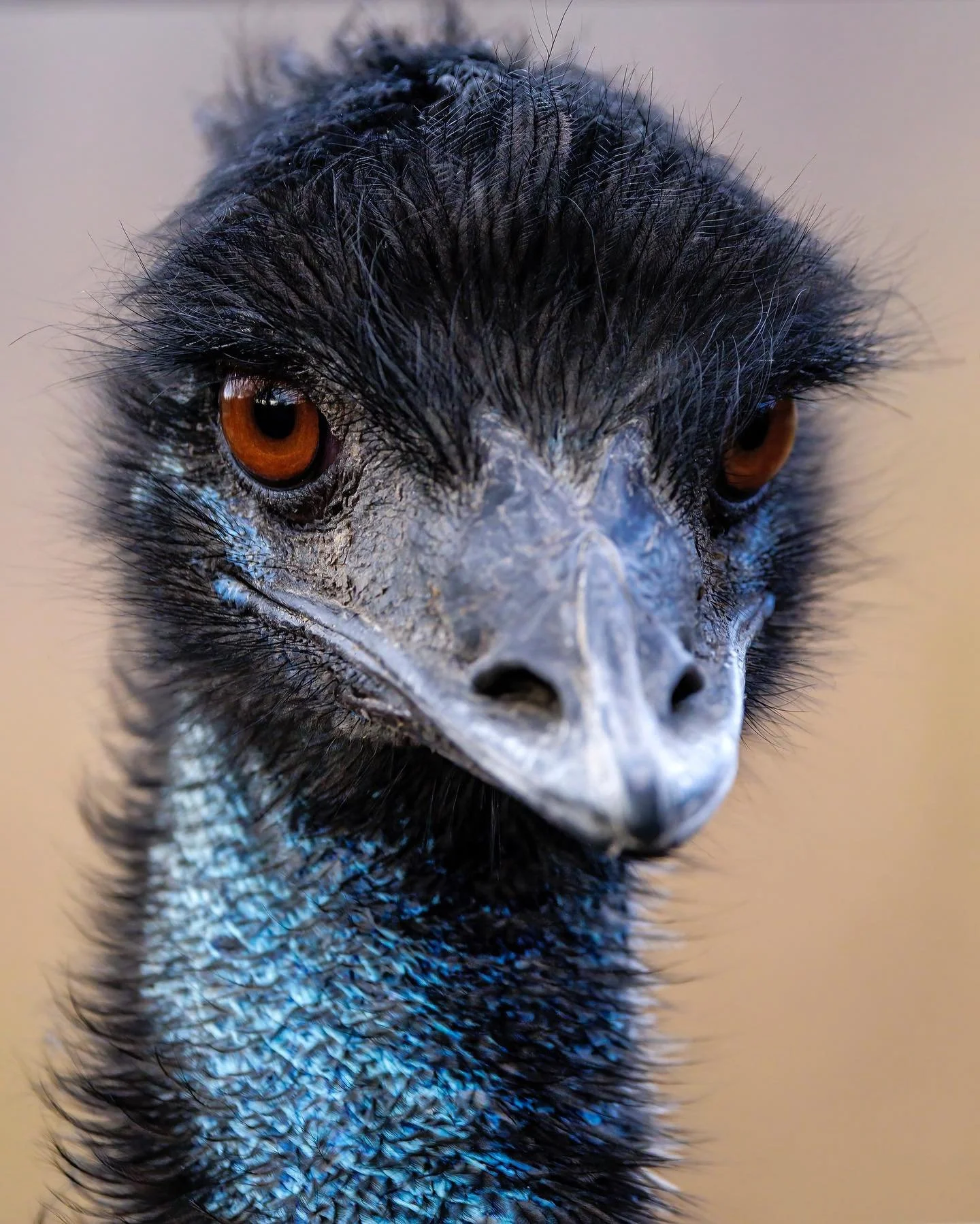 Long Island Game Farm