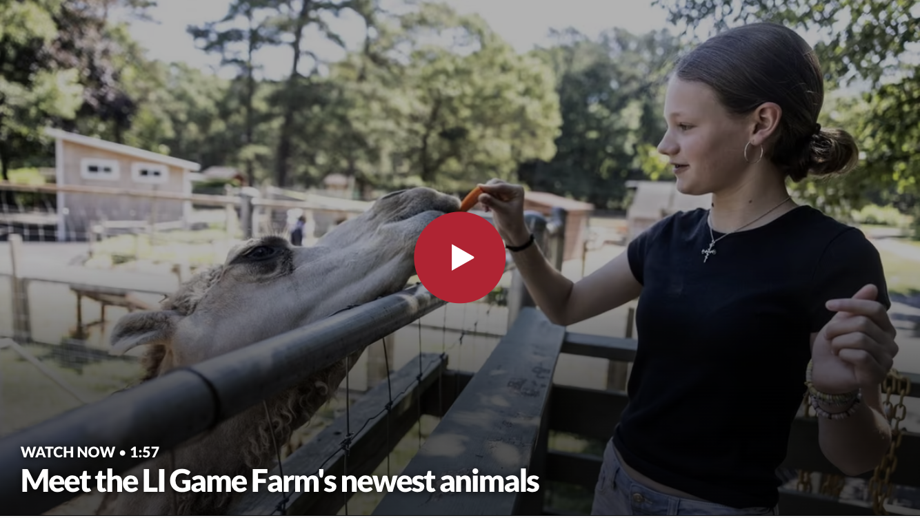 Long Island Game Farm