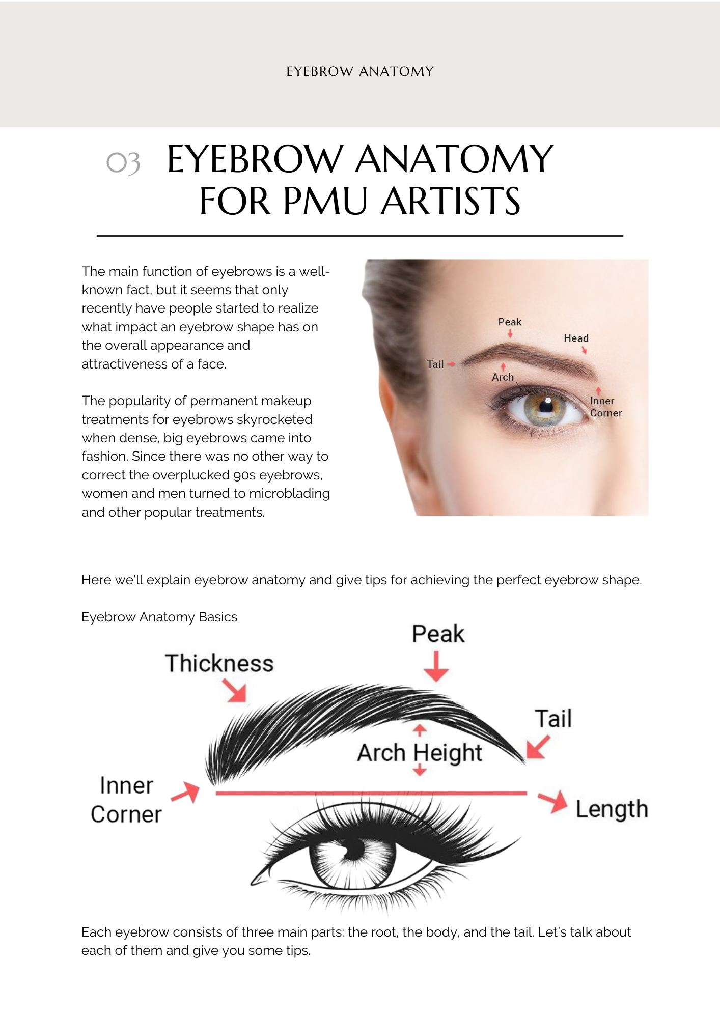 Lash & Brow Academy