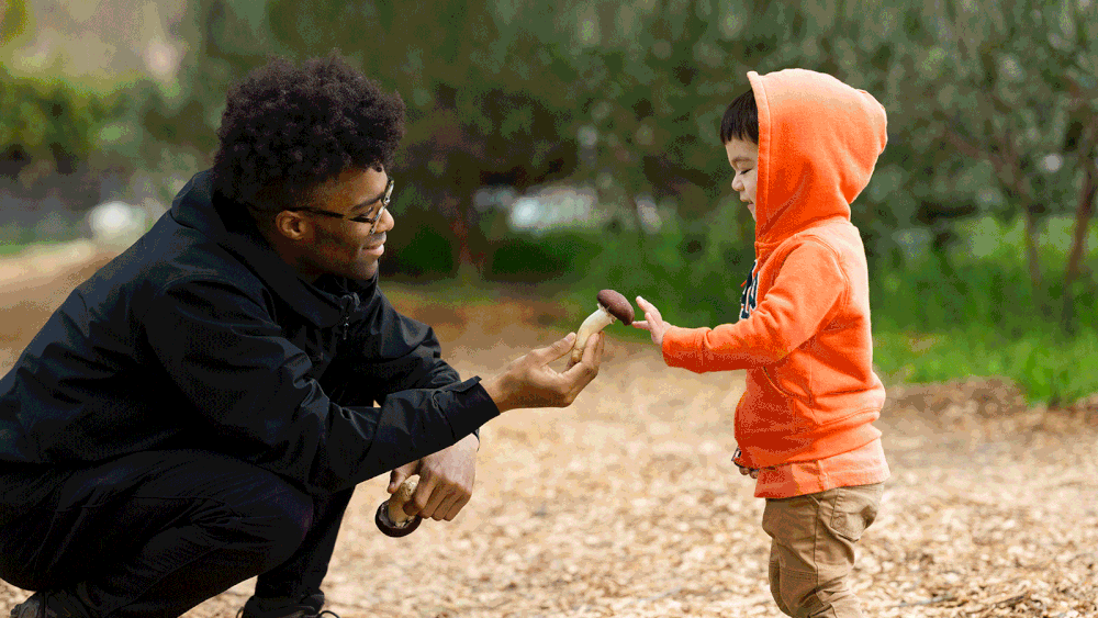 Fiery Ginger Farm - Urban Learning Farm - Sacramento