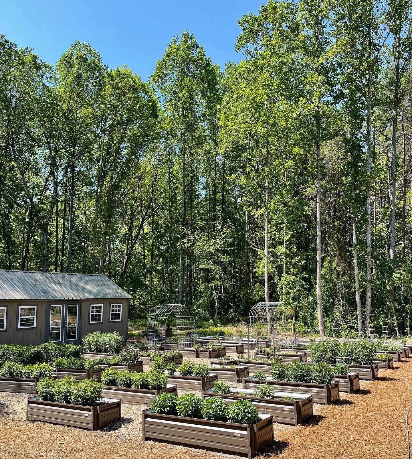 Our Story — My Garden Blooms