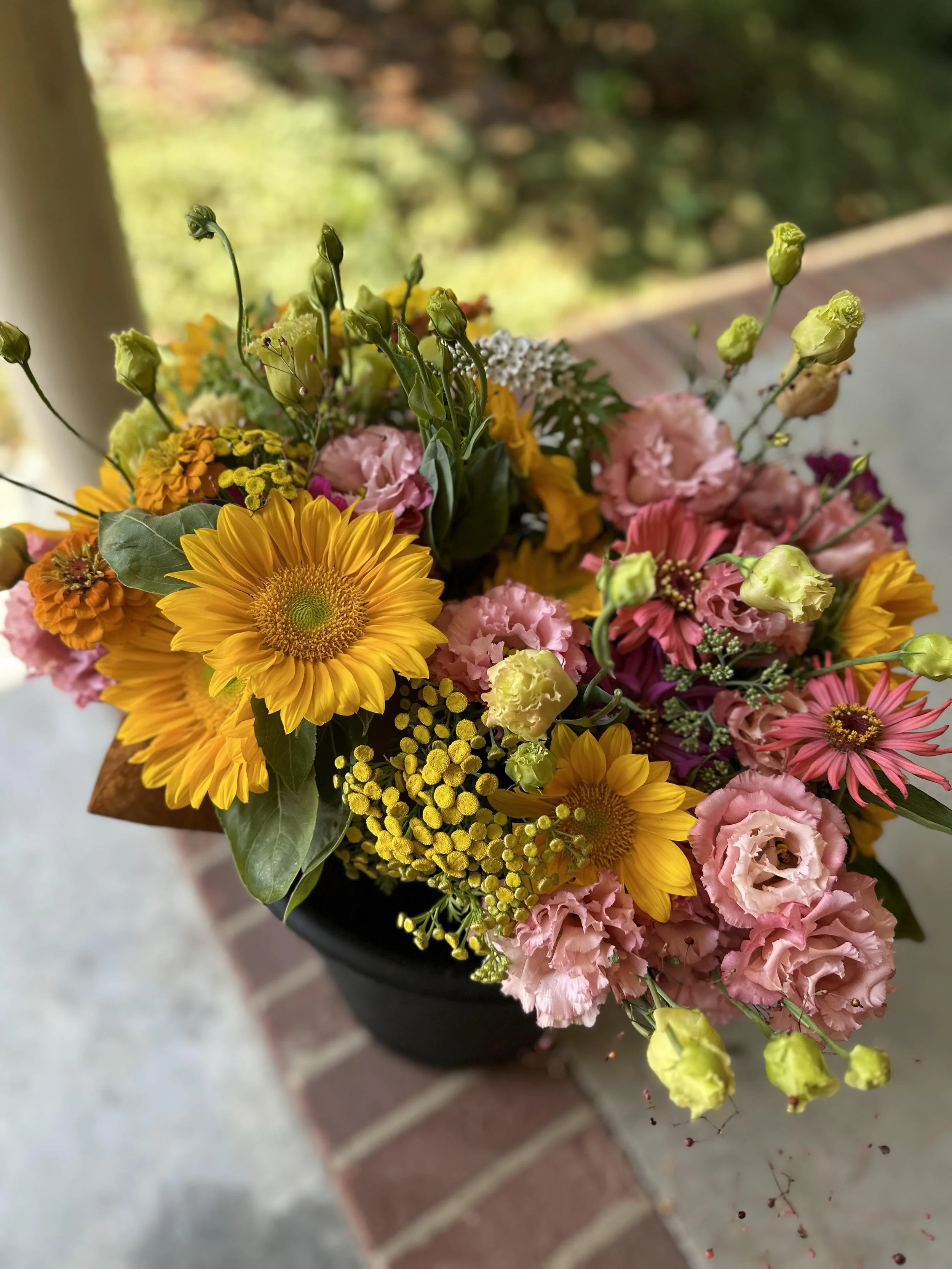 Blooms — My Garden Blooms