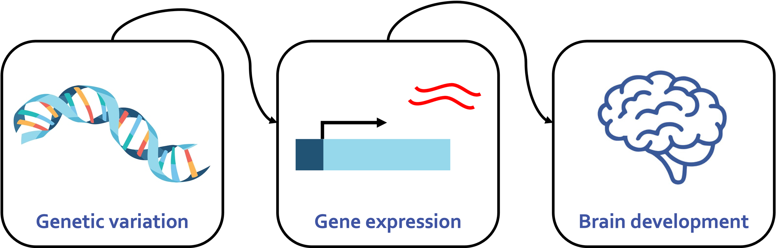 Services 3 — Hernandez Lab @ UCLA