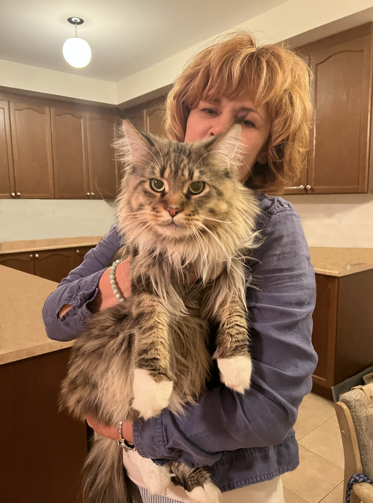 About — ADORA MAINE COON CATTERY
