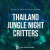 Night Critters Ambience Library — Free to Use Sounds