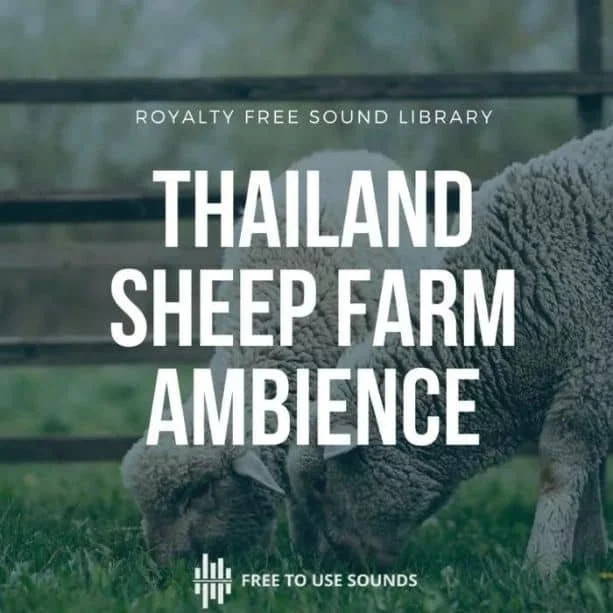 Sheep Farm Ambience Sound Library — Free to Use Sounds