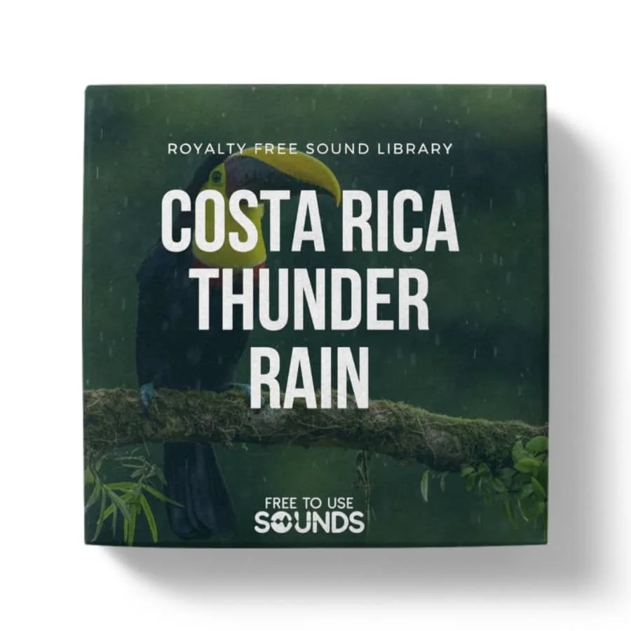 Thunderstorm Sound Effects Library — Free to Use Sounds