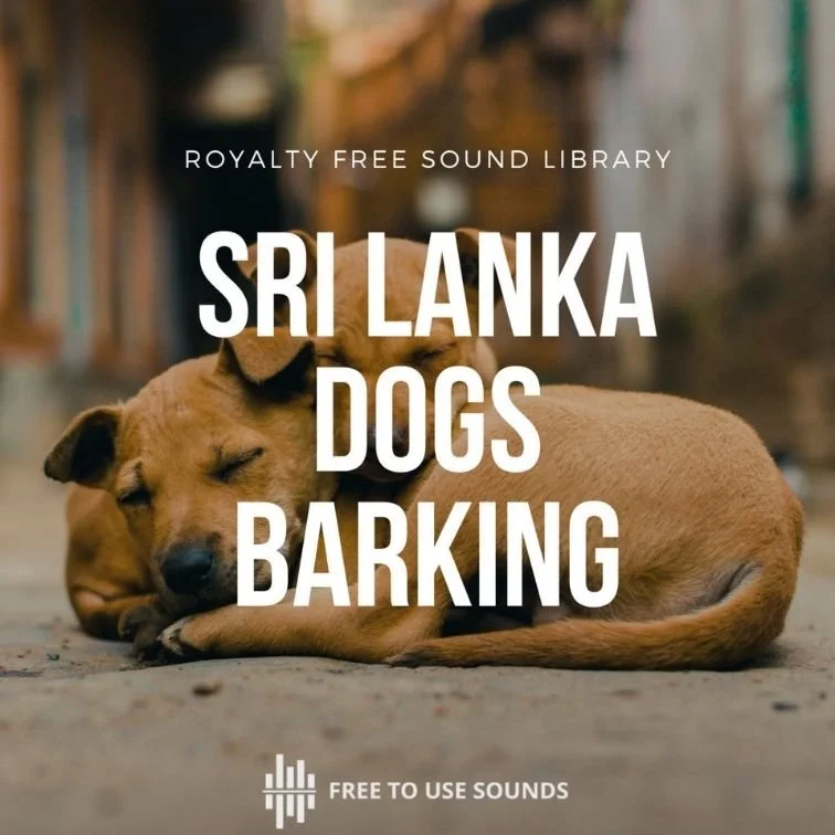 Sound Libraries — Free to Use Sounds