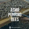 ASMR — Sound Libraries — Free to Use Sounds