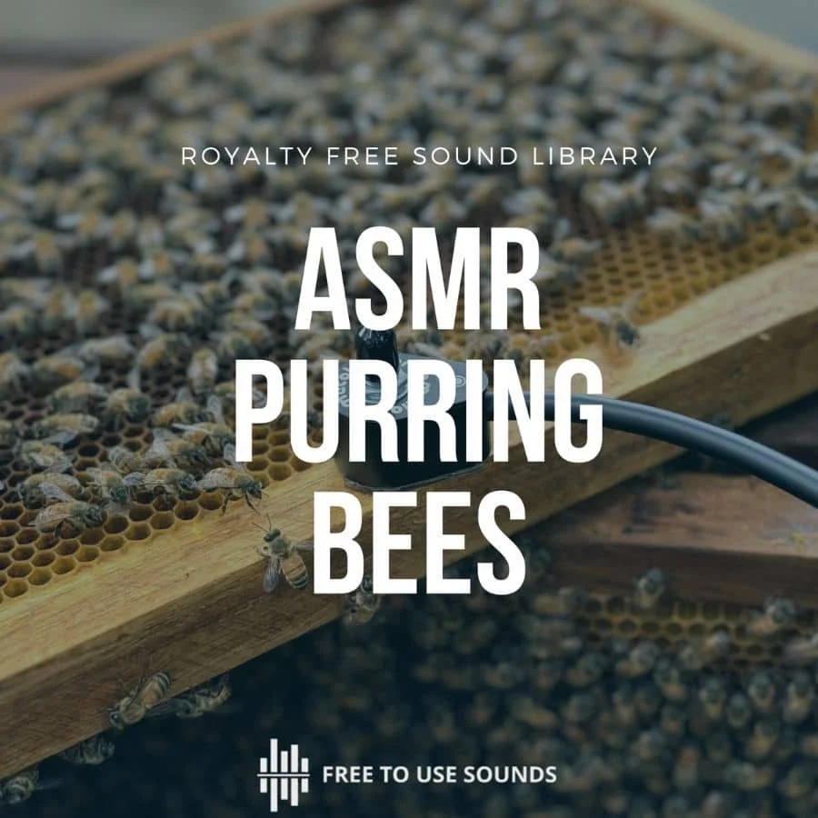 ASMR — Sound Libraries — Free to Use Sounds