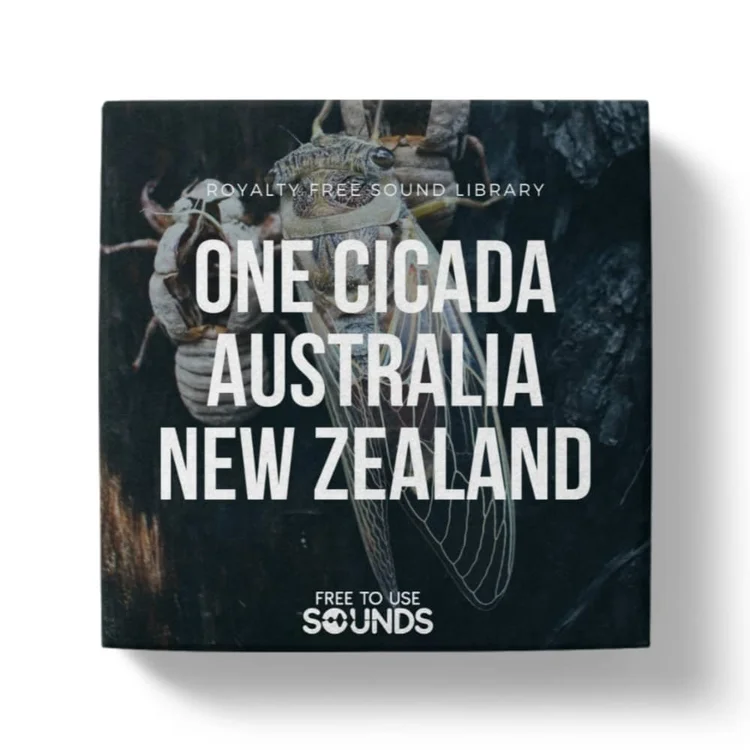 Cicadas Of Australia and New Zealand — Free to Use Sounds