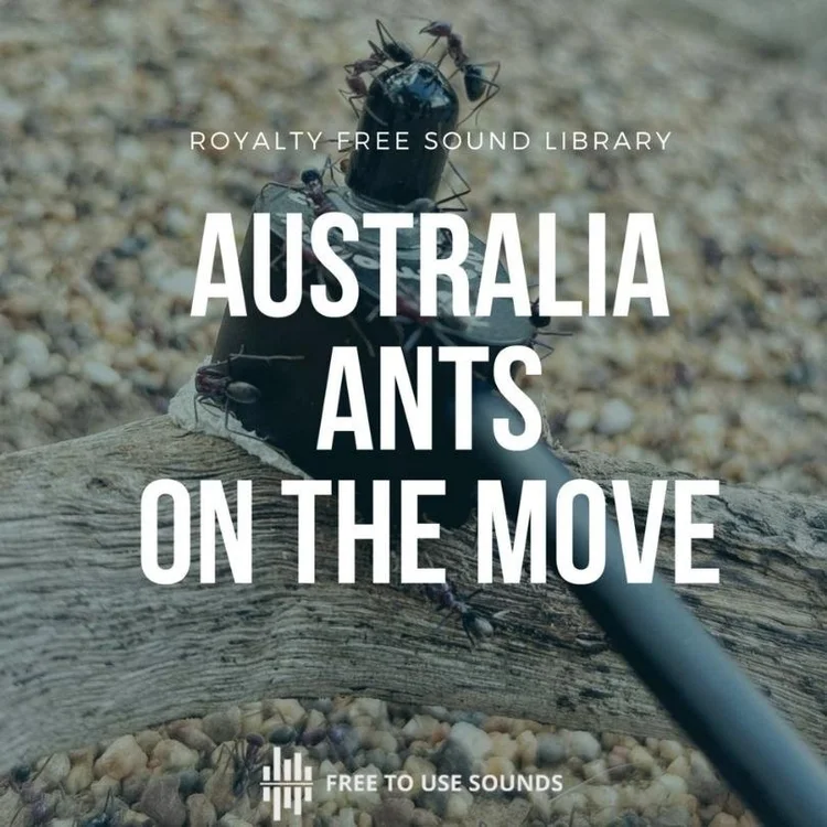 ASMR — Sound Libraries — Free to Use Sounds