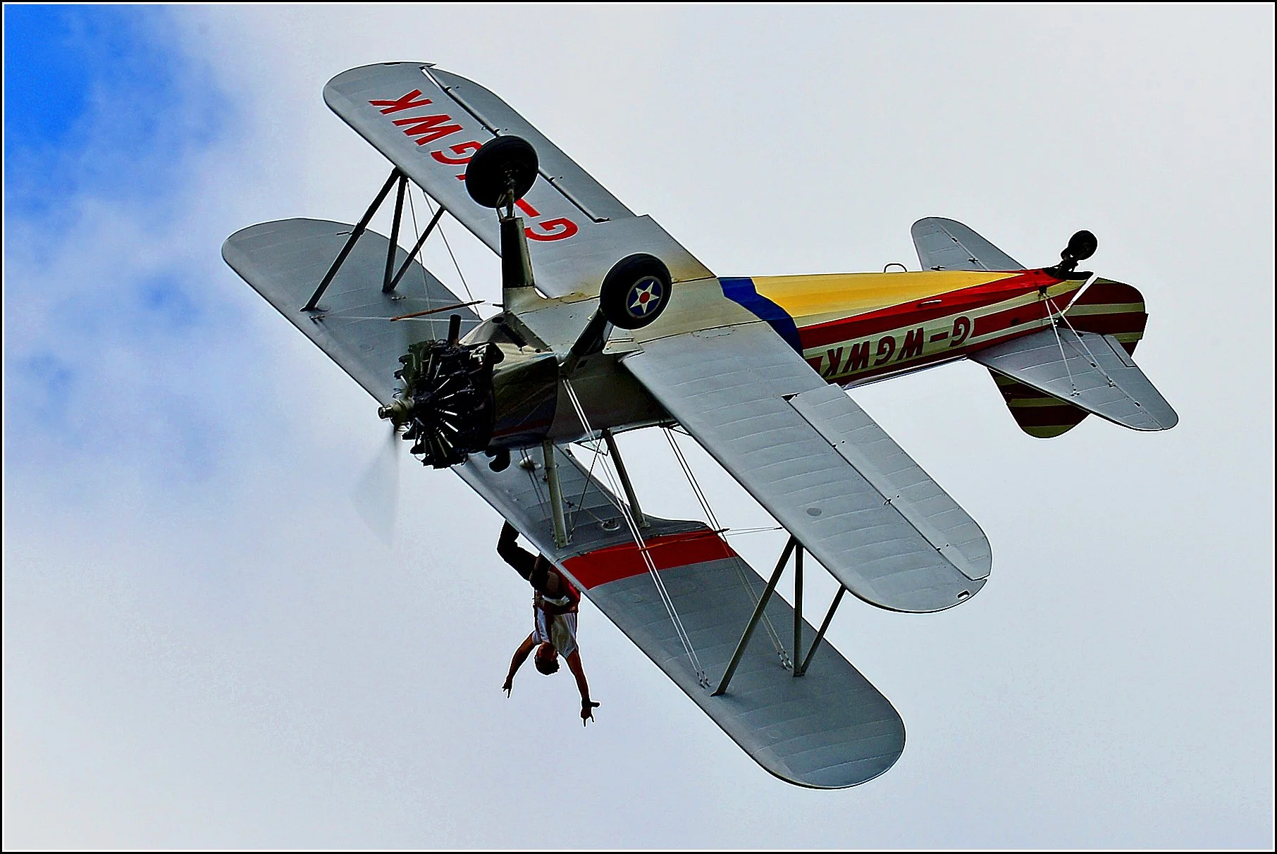 The Wing Walk Company