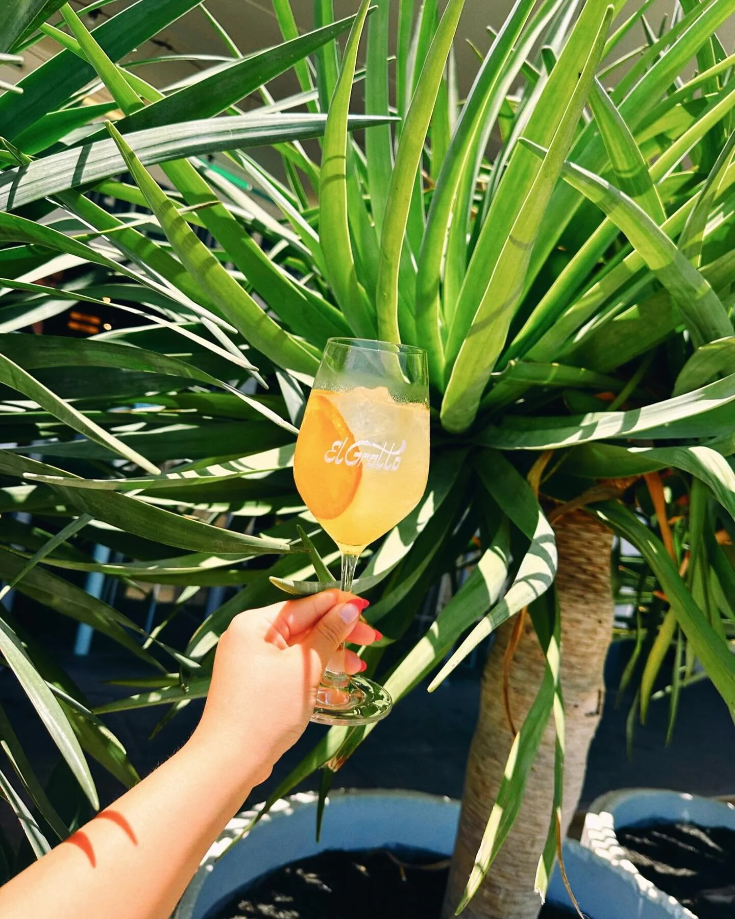 EL GROTTO - PERTH'S BEST MARGARITAS