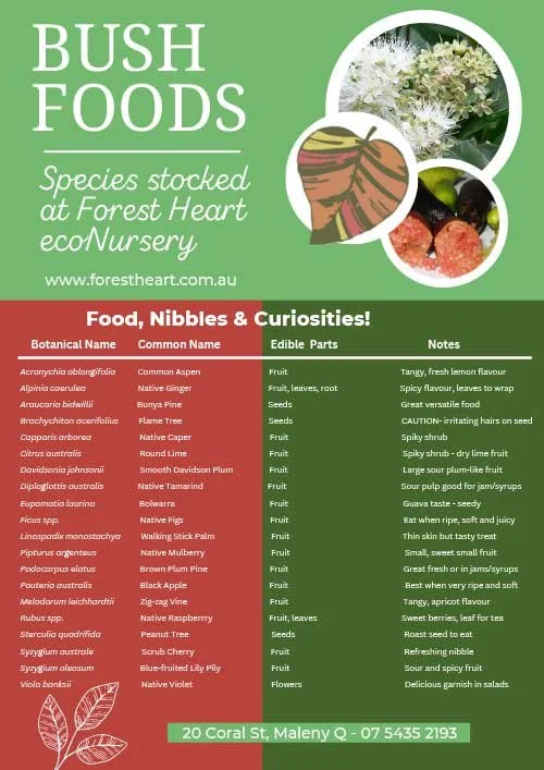 Bushfoods — Forest Heart ecoNursery, Maleny