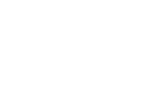 Bureau Berger | Branding & Art Direction