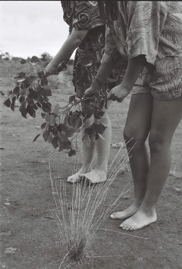 Contact 1 — Yapa Mali