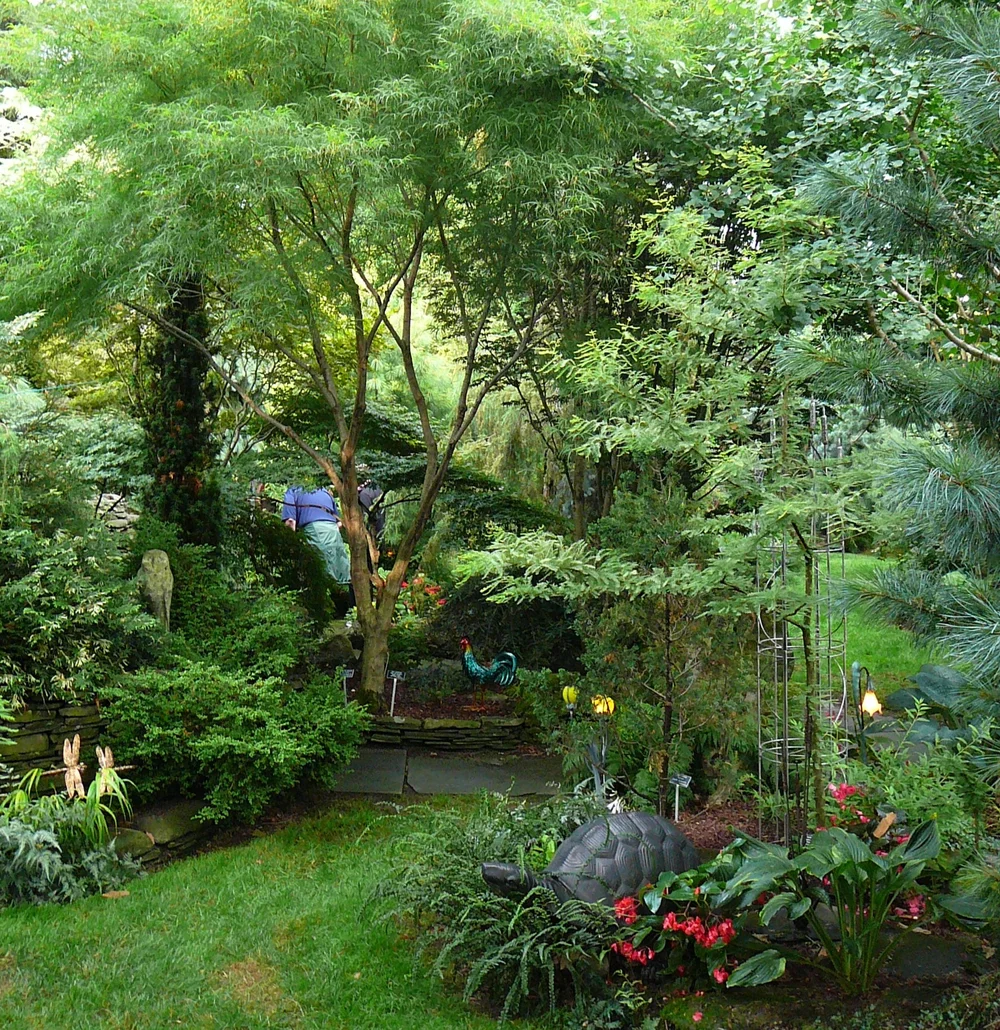 Flower City Garden Network