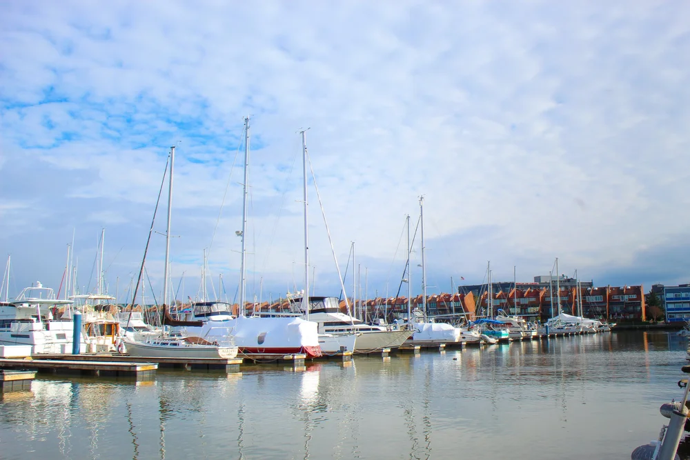 General 1 — Anchorage Marina