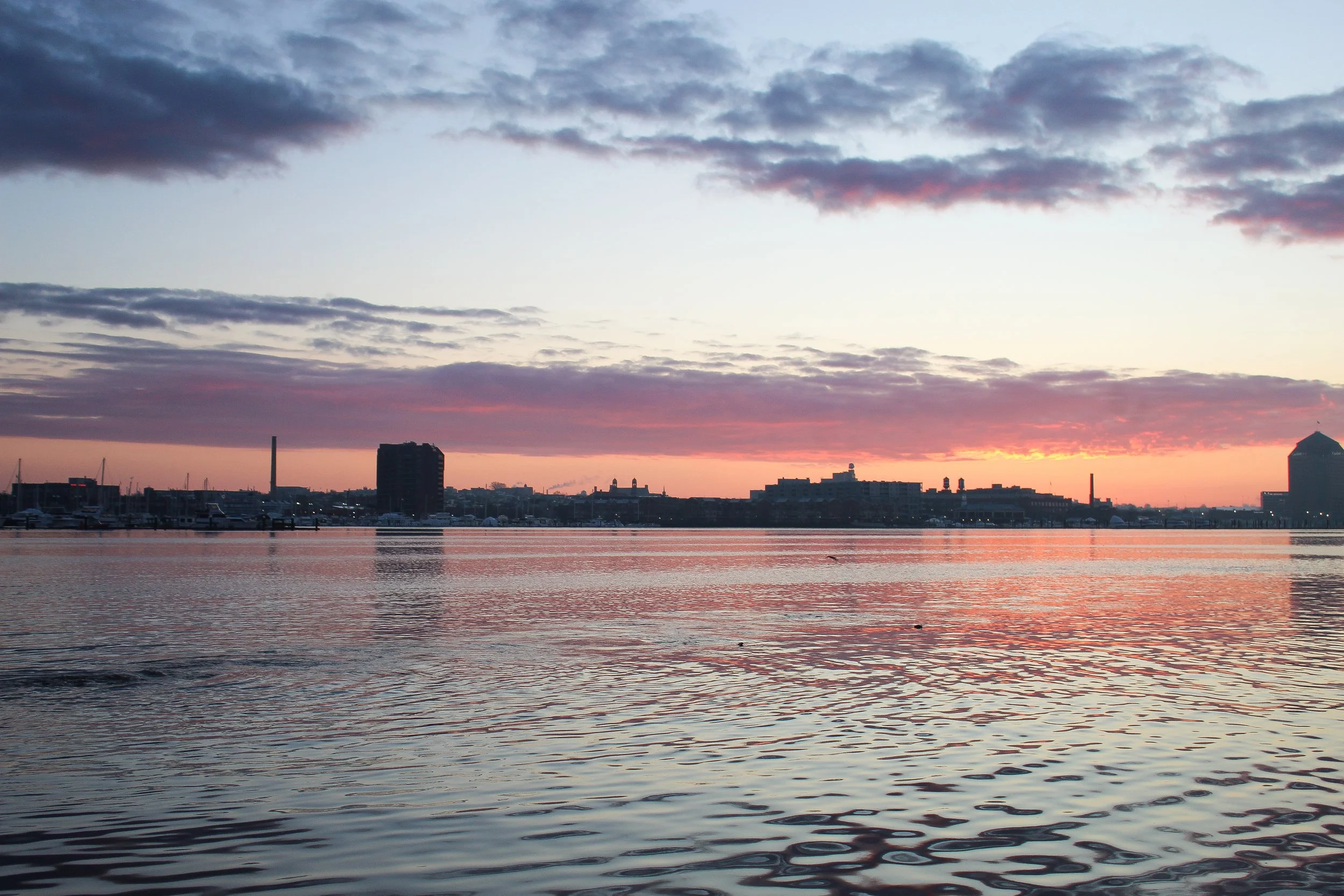 Contact 2 — Anchorage Marina