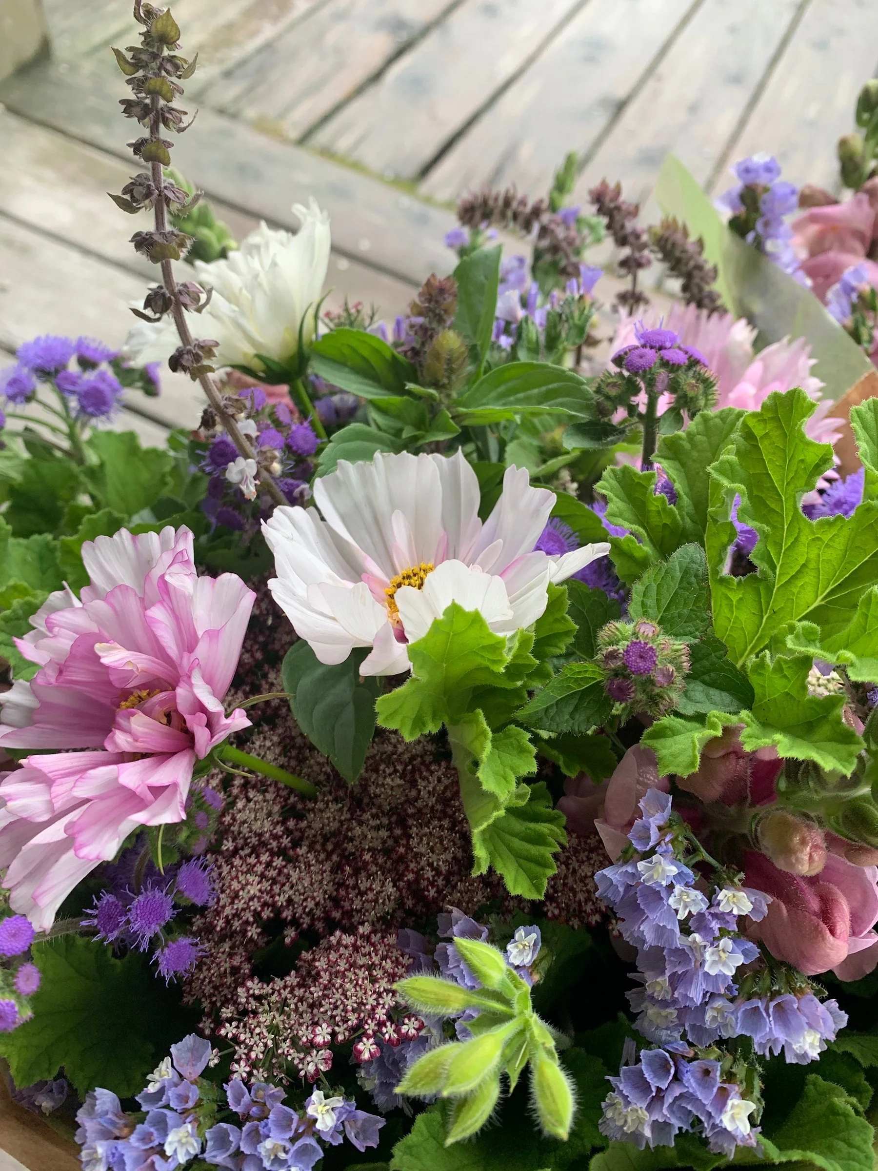 The Farmer's Daughter