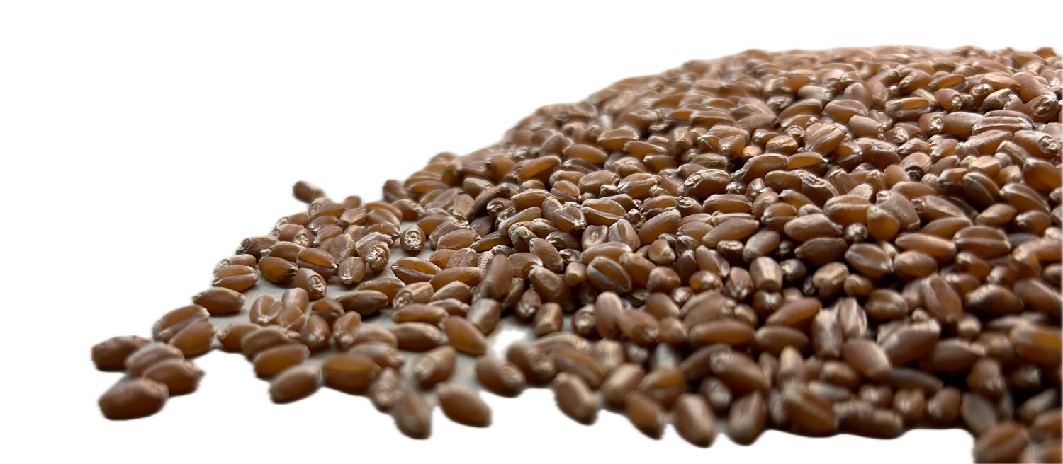 Ground Truth Ag Inc