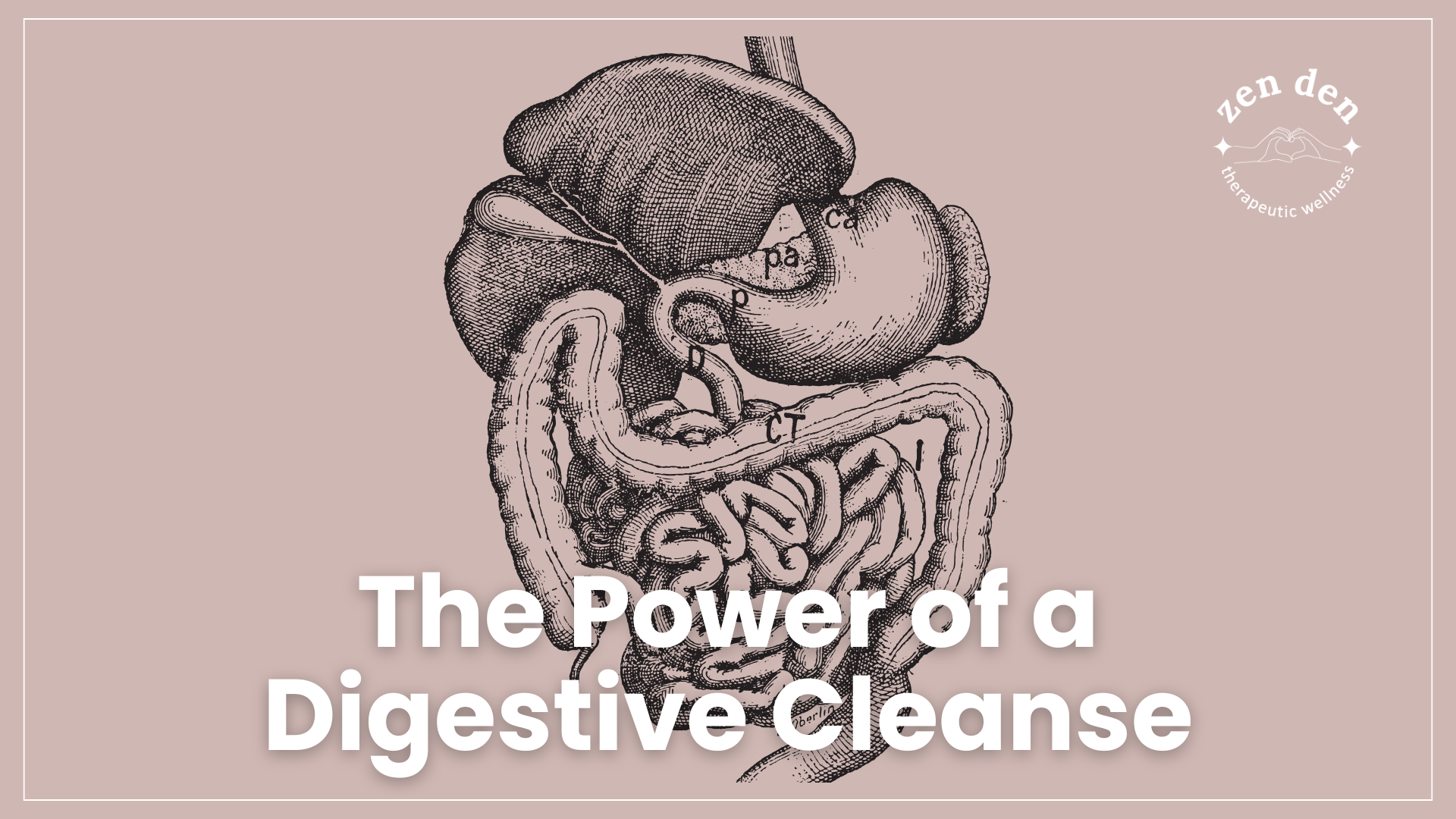 The Power of a Digestive Cleanse — Zen Den | Energy Based Bodywork and ...
