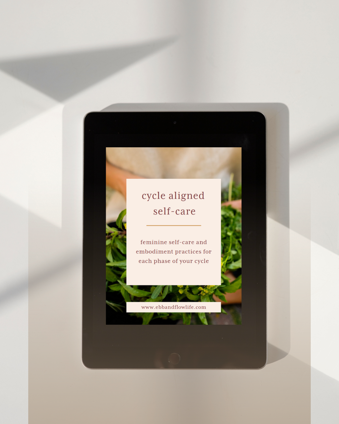 Resources — Ebb & Flow