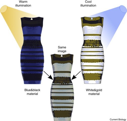 50 Shades of… Confusion? — Art + Innovation + Wellbeing