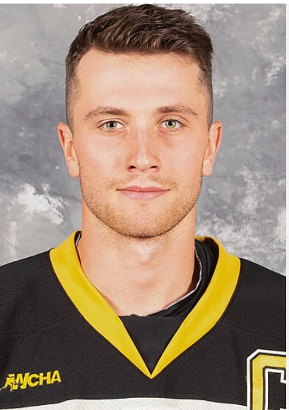 BR.ICE Hockey Development Brice Hockey Development