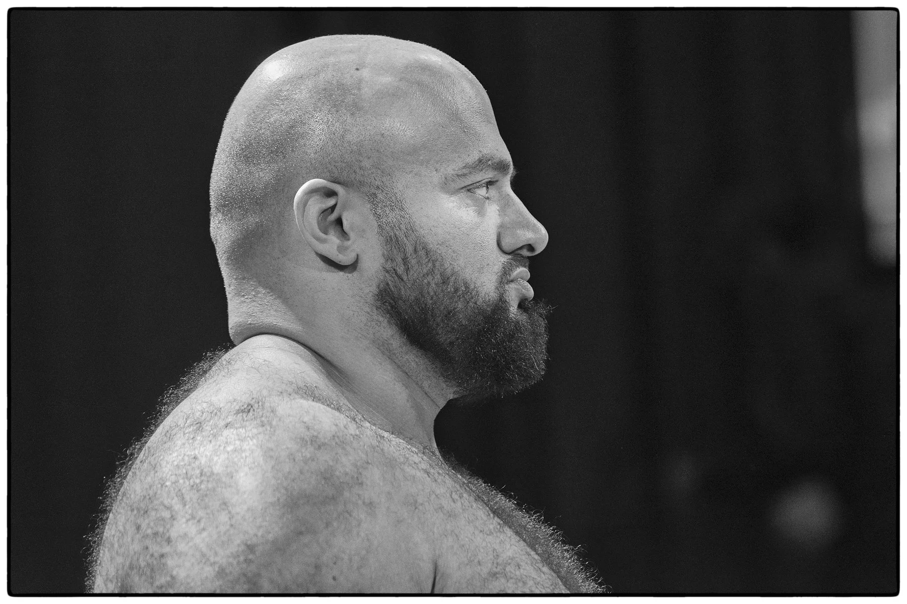 Sumo comes to New Jersey — AP VIBES MEDIA