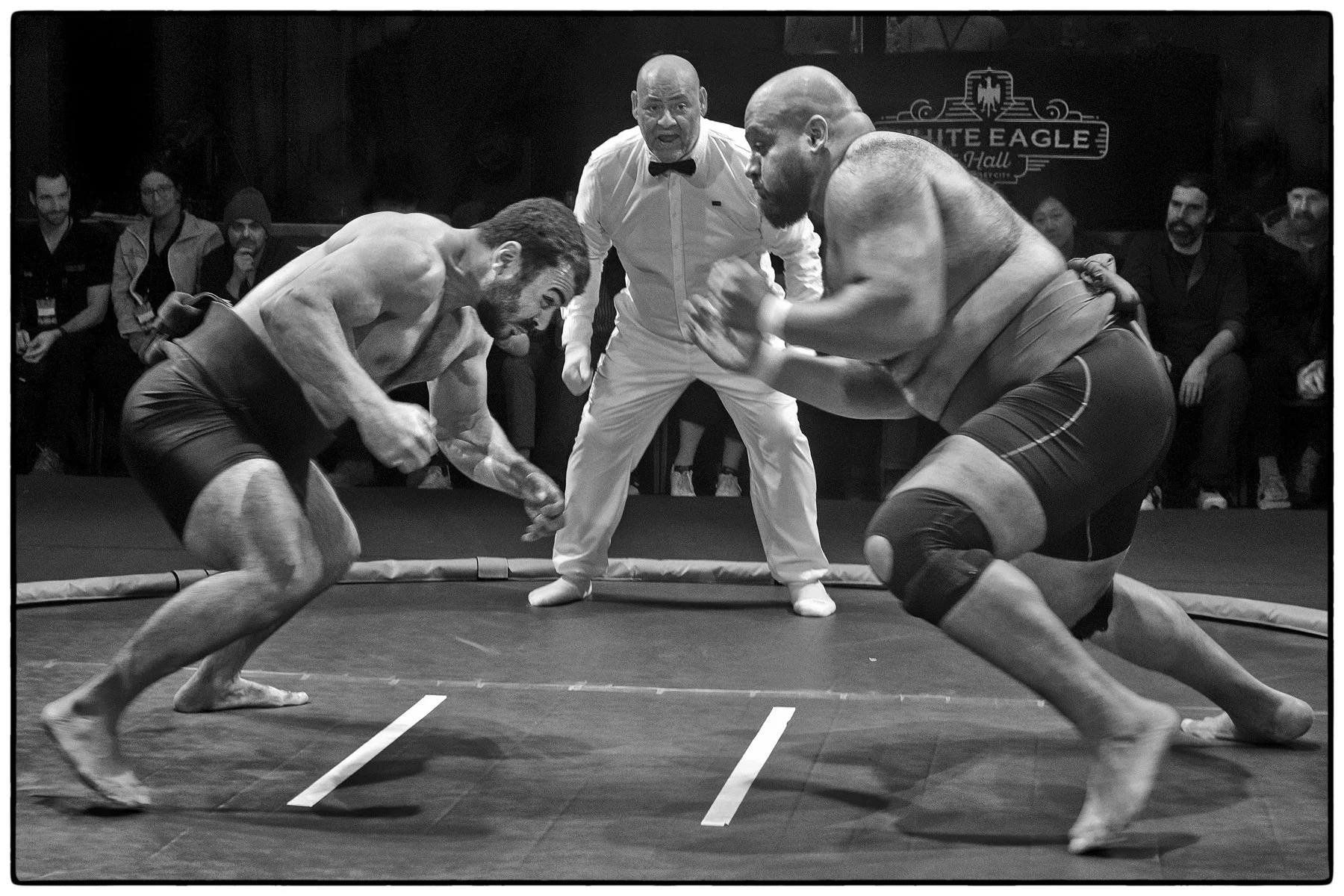 Sumo comes to New Jersey — AP VIBES MEDIA