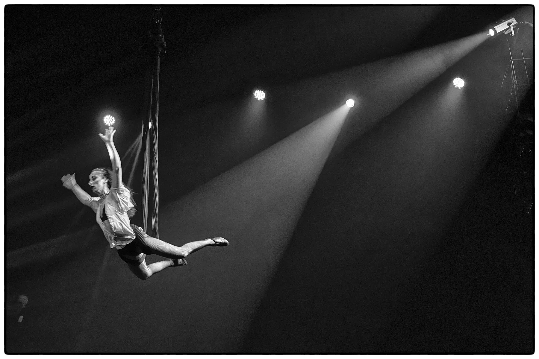 Paranormal Cirque III — AP VIBES MEDIA
