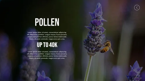 Google Search PowerPoint Template Luis Urrutia @lourrutiappt