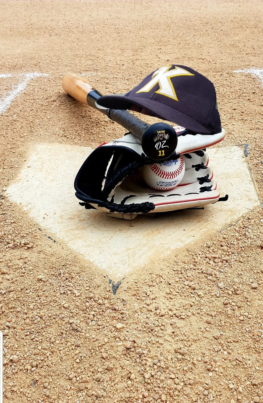 Knox Falcons Baseball Club