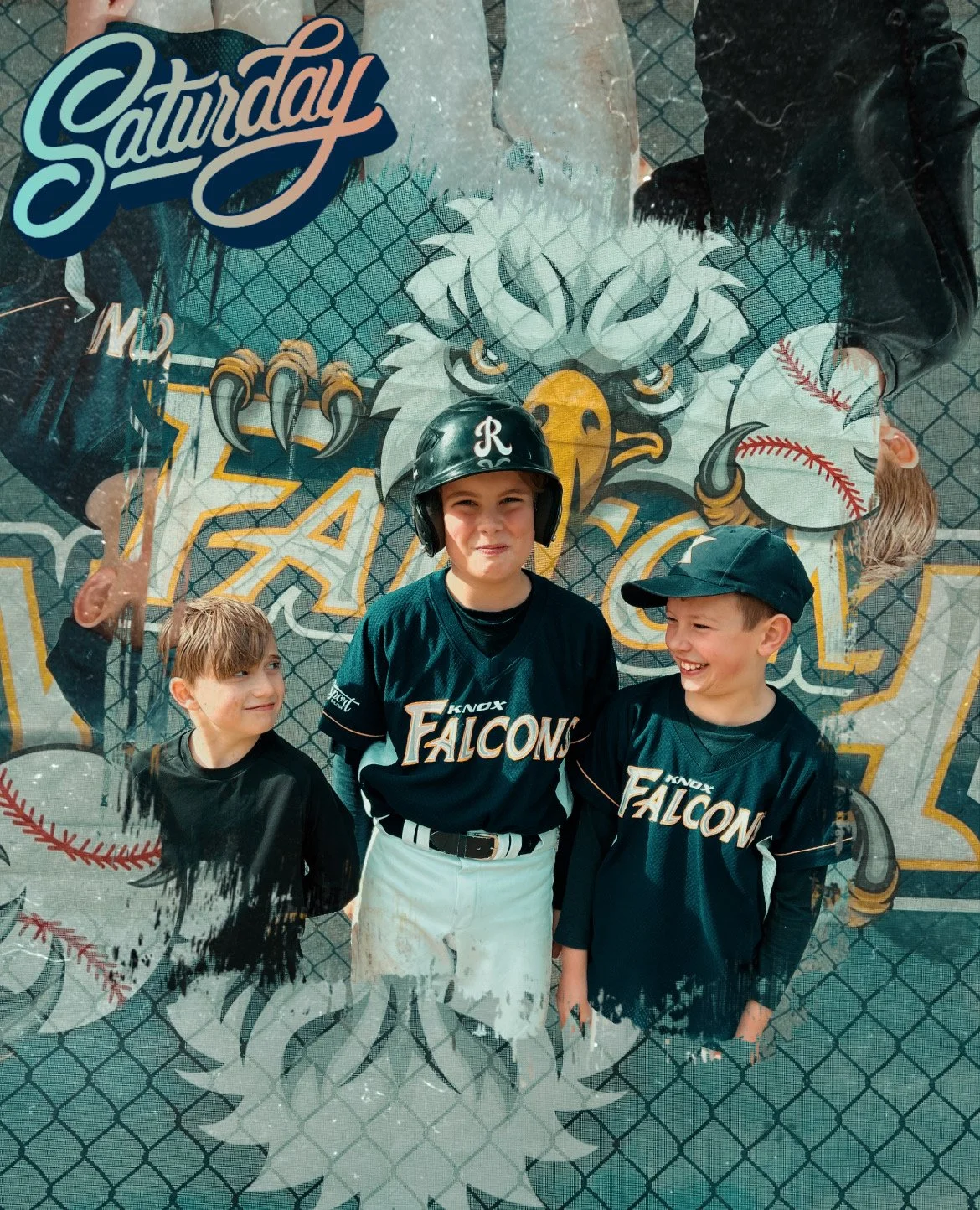 Knox Falcons Baseball Club