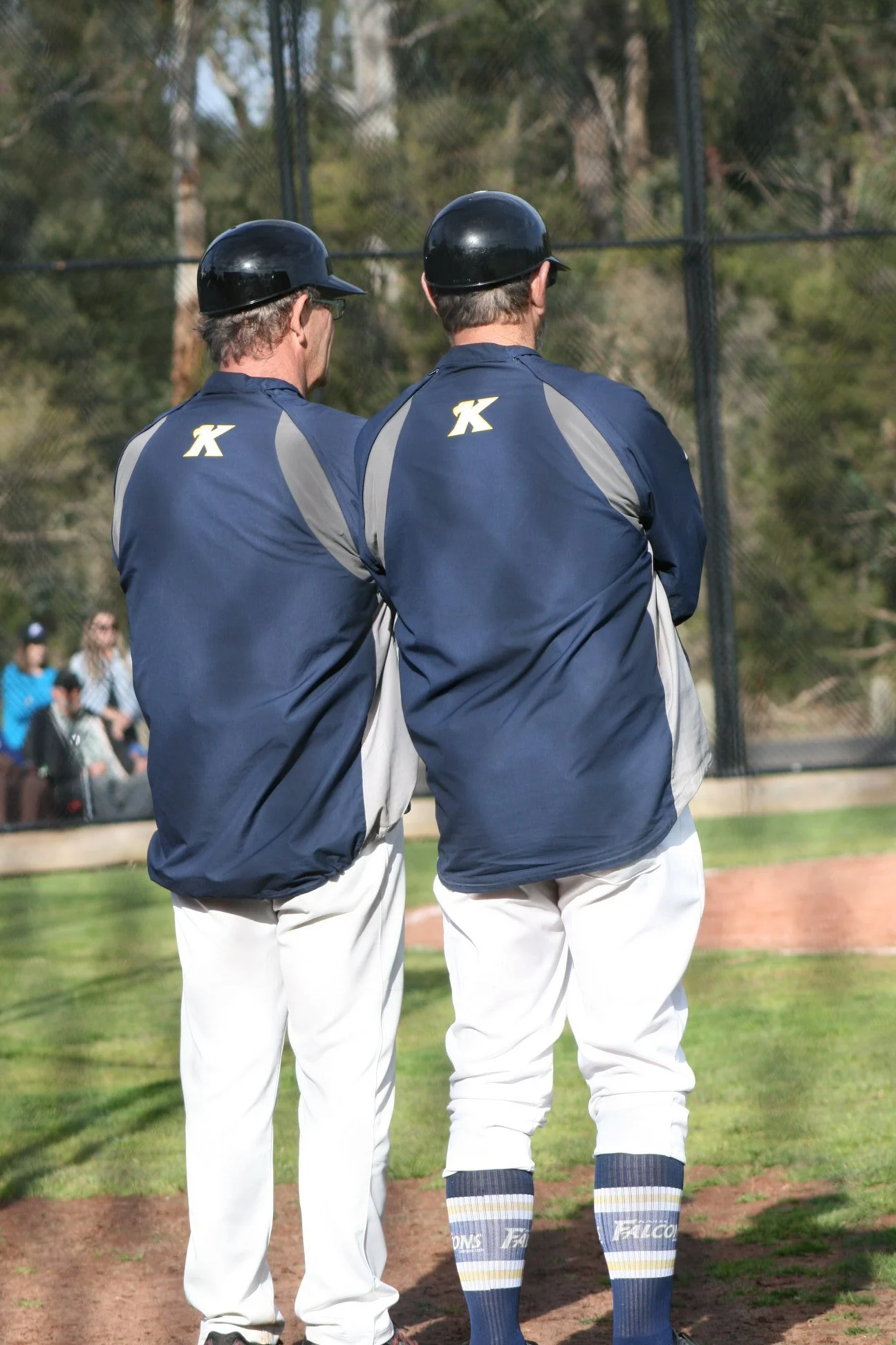 Knox Falcons Baseball Club