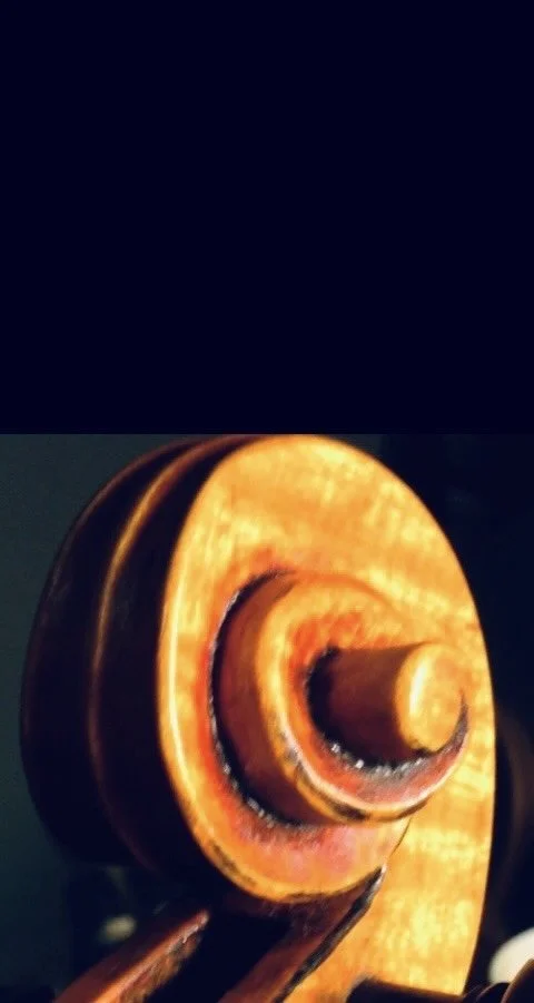 Hexham Violin Shop Ltd.