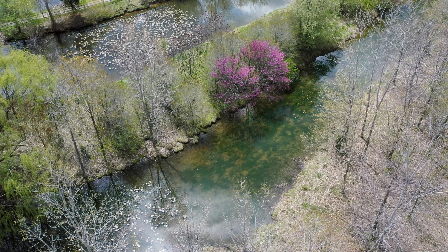 Tollgate Drain — Ingham County Drain Commissioner