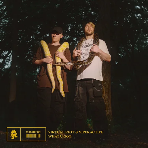 Virtual Riot Website