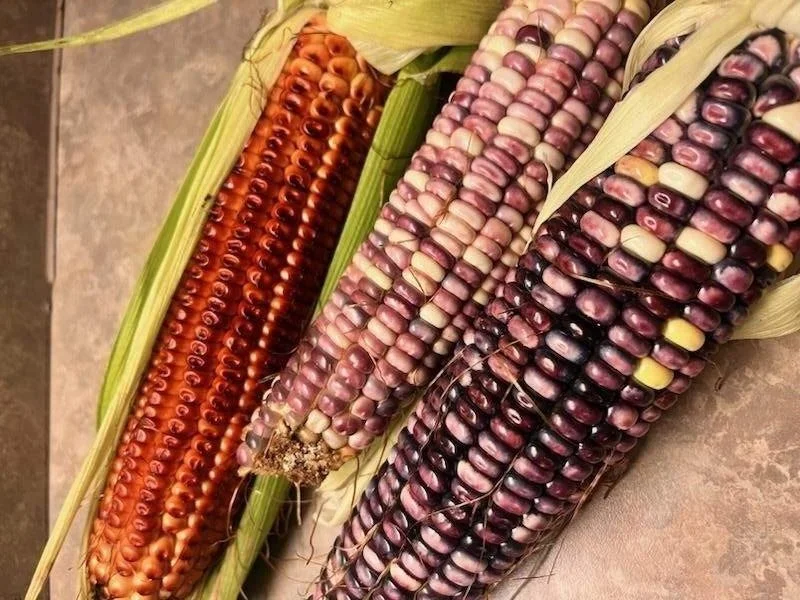 About — Barnes Farms & Milling Co.