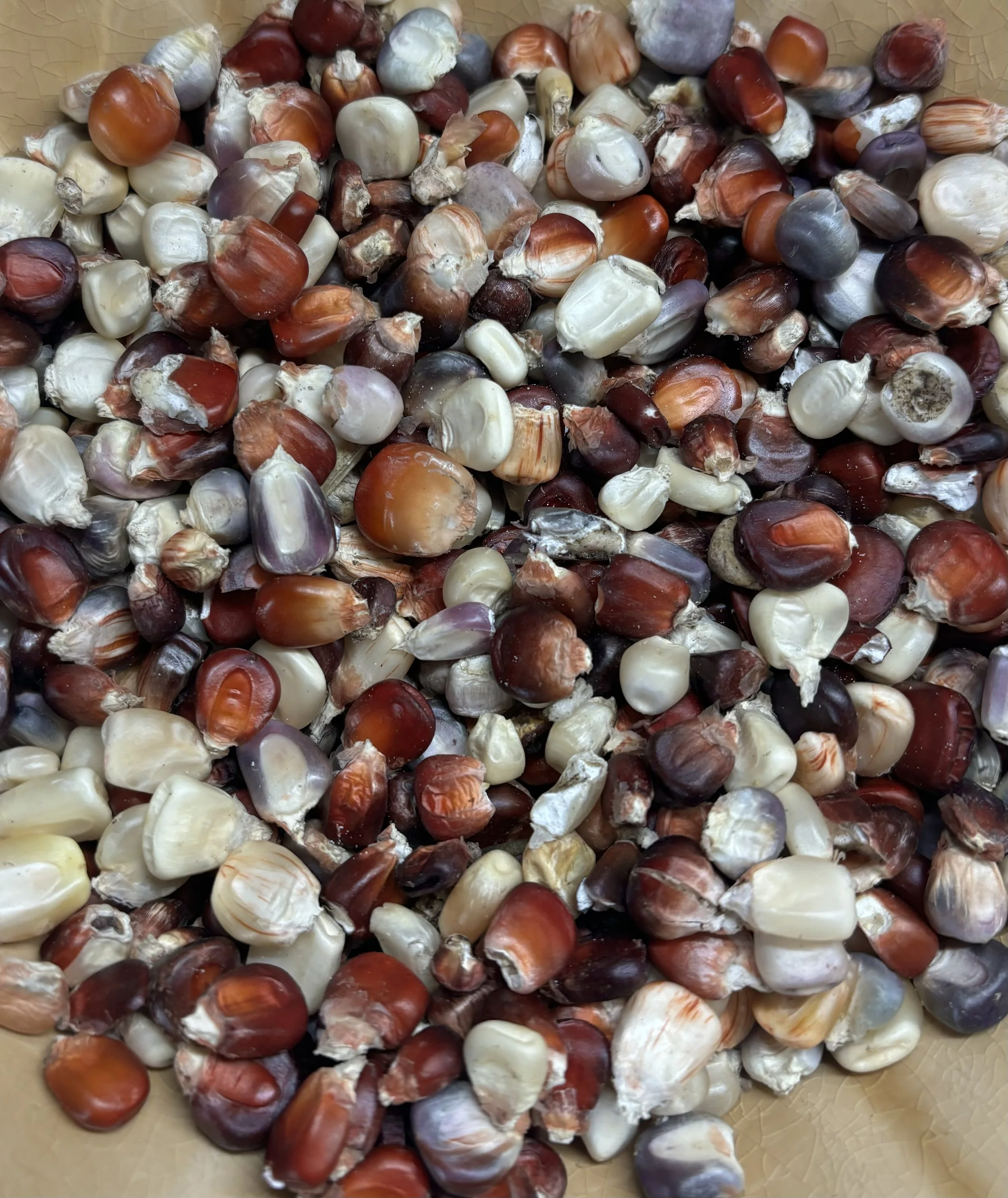 Store — Barnes Farms & Milling Co.