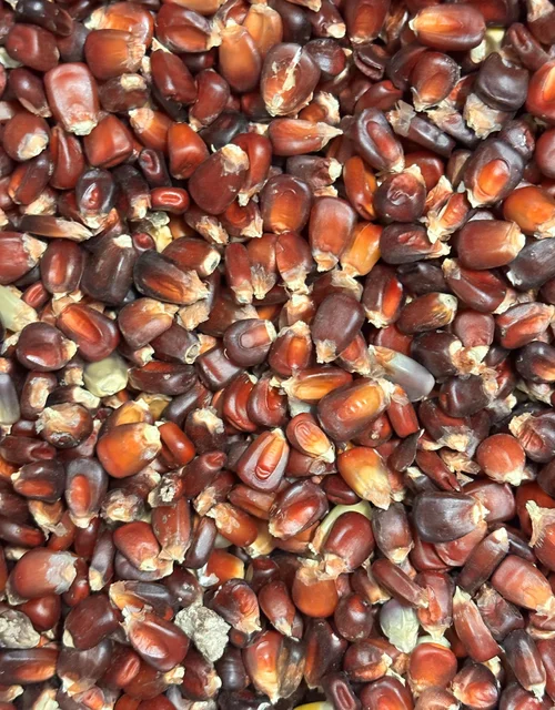 Store — Barnes Farms & Milling Co.