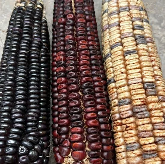 Products — Barnes Farms & Milling Co.